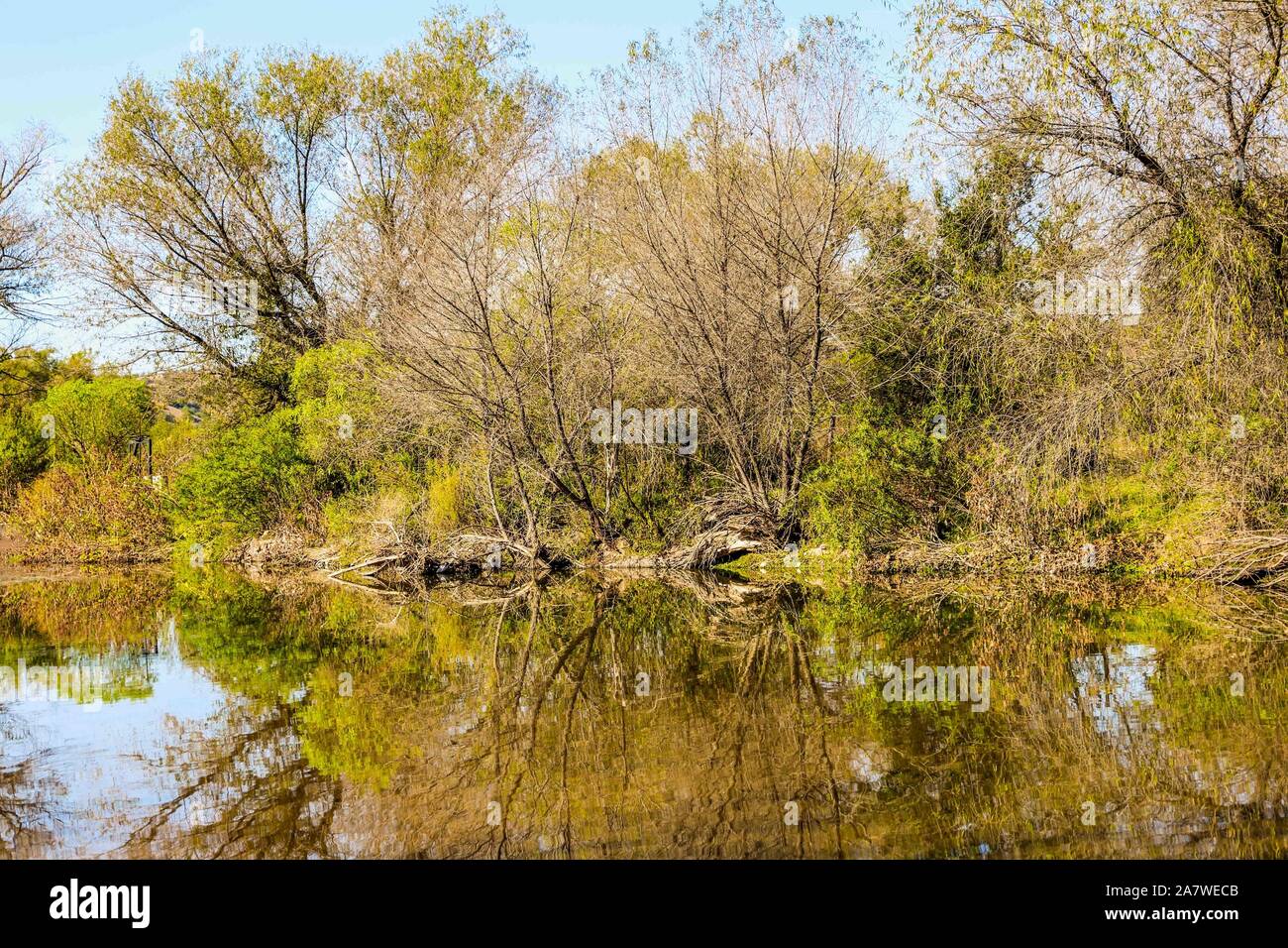 Sonora river water flow as it passes through Bacoachi (from the ...