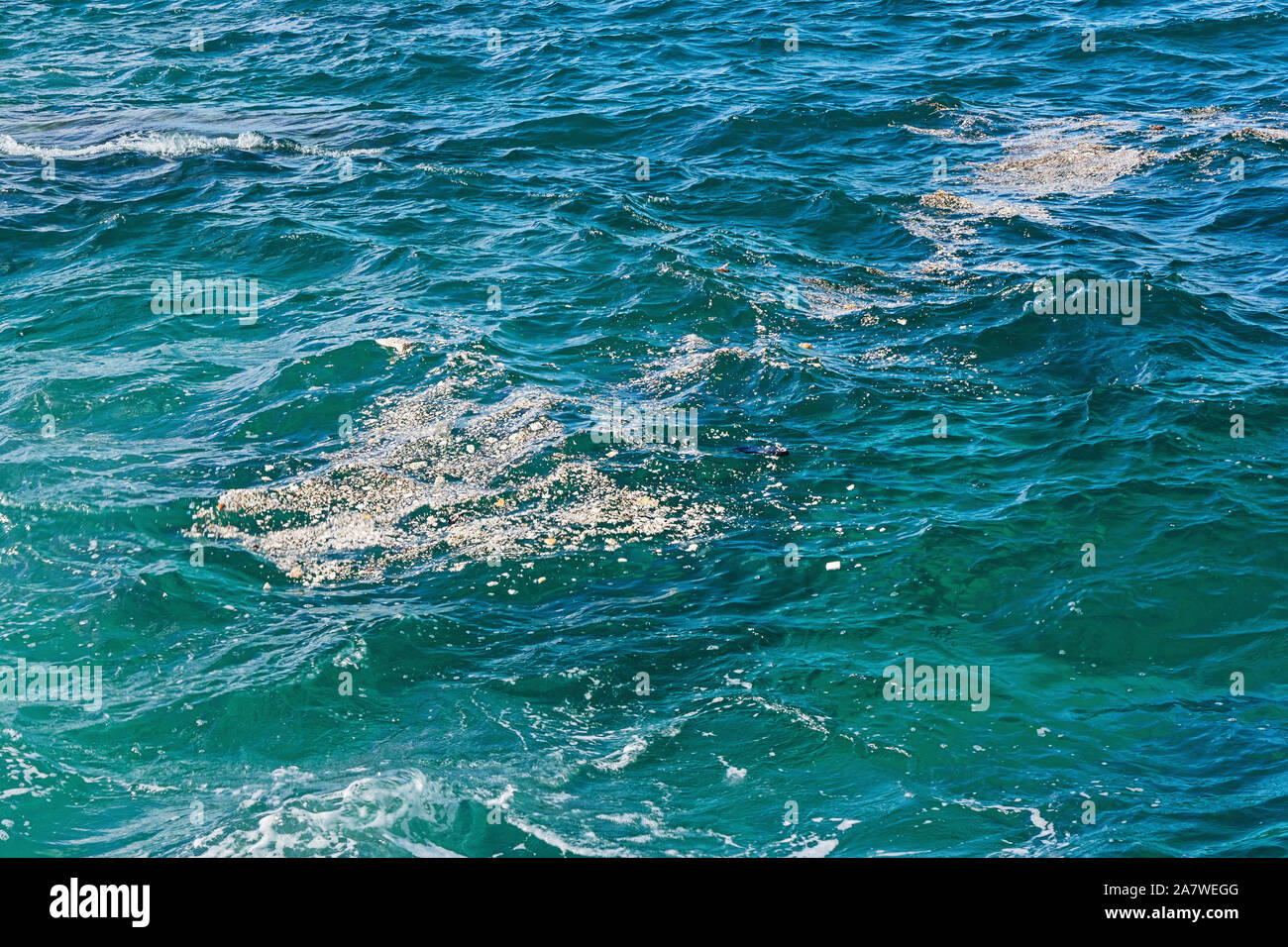 Turquoise sea water surface with floating debris, pieces of plastic and ...
