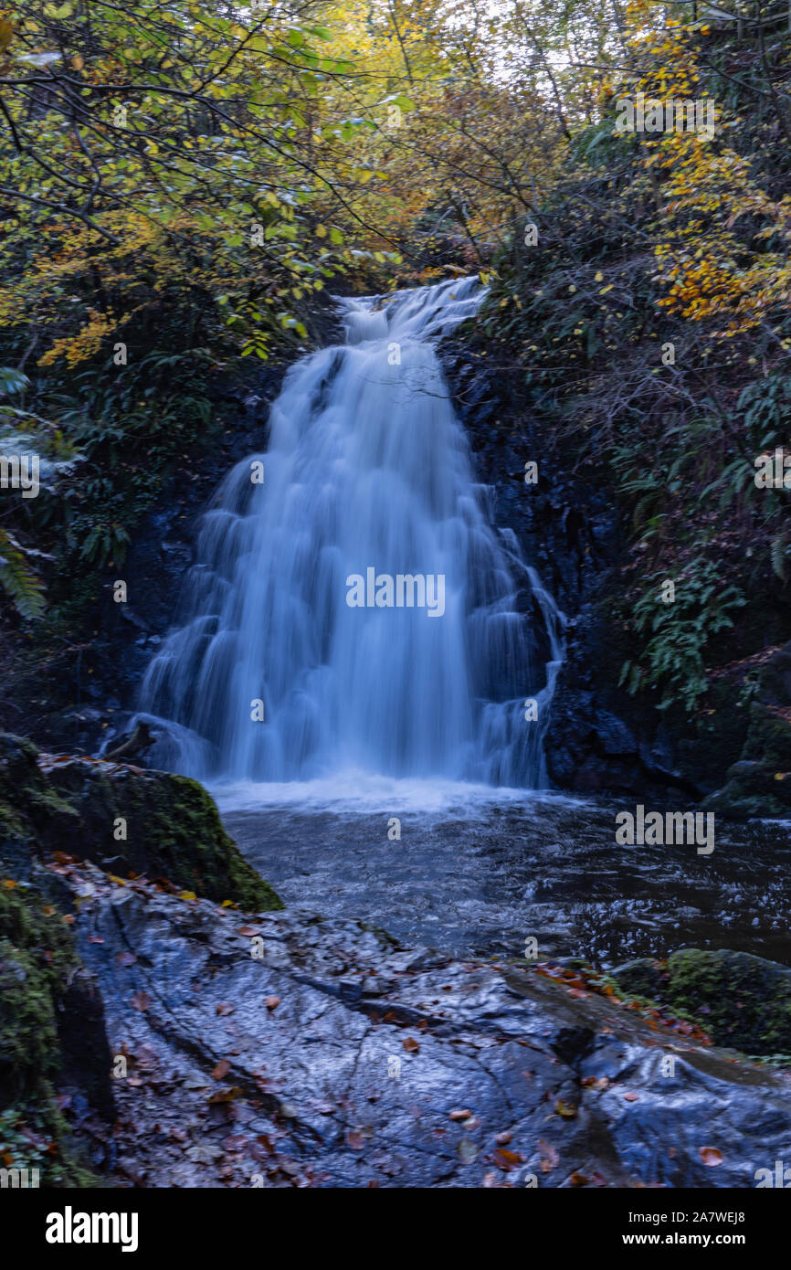 Glenoe Waterfall in Autumnal colours, Causeway coastal route, Larne ...