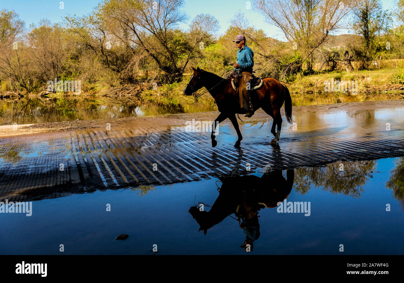 a cowboy gallops on his horse passing over the water flow of the Sonora ...