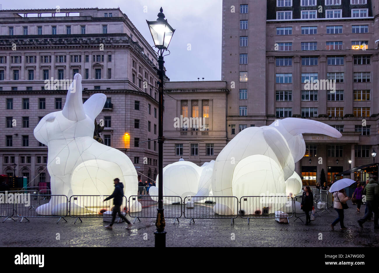 White Rabbits High Resolution Stock Photography and Images - Alamy