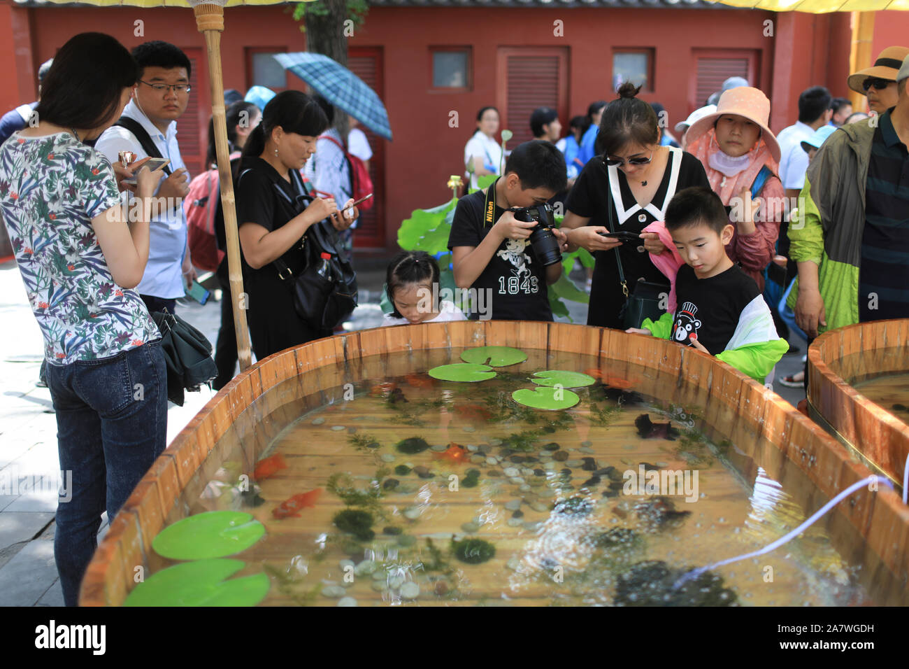 Visitors view the 200 live goldfish on a fish tank at the Yanxi Palace ...