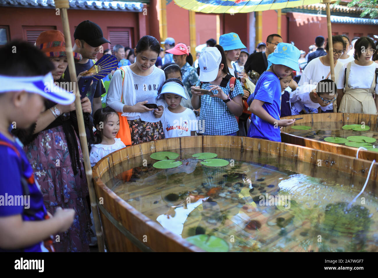 Visitors view the 200 live goldfish on a fish tank at the Yanxi Palace ...