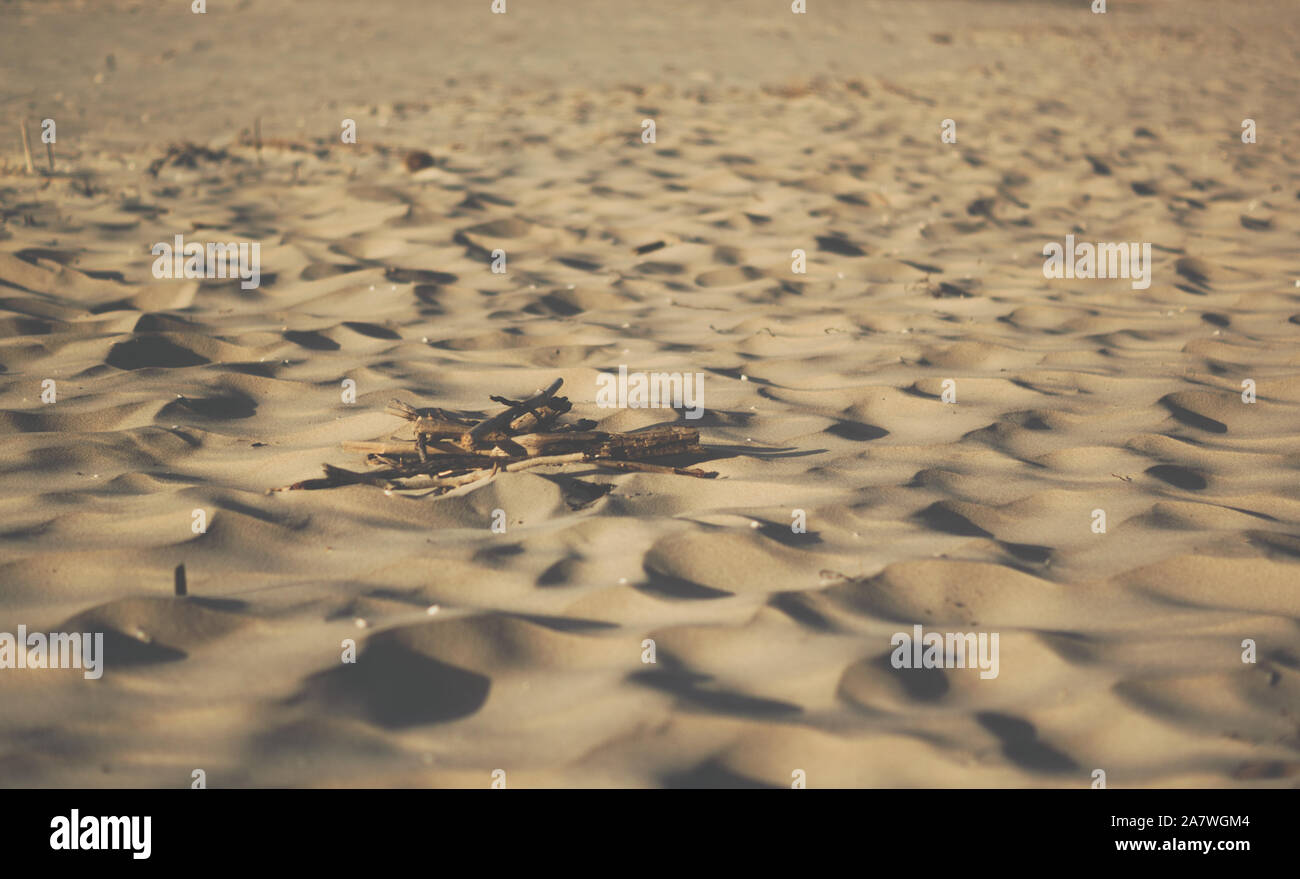 pile of sticks ready to set up a fire on a sand Stock Photo - Alamy