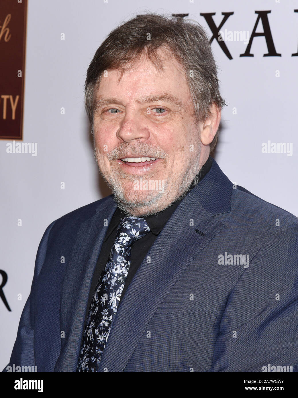 November 3, 2019, Hollywood, California, USA: Mark Hamill attends Ed ...