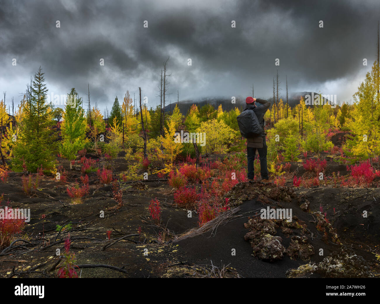 Tourist photographer takes picture autumn landscape in Dead Forest Dead ...