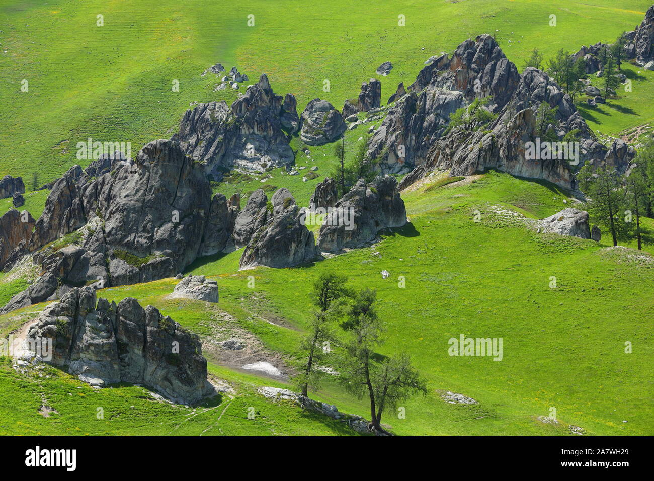 Burqin hi-res stock photography and images - Alamy