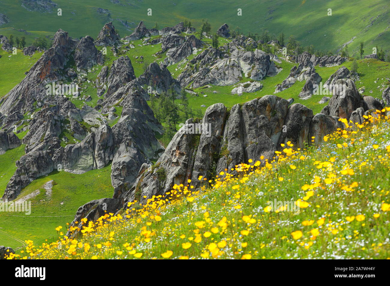 Burqin Stock Photos & Burqin Stock Images - Alamy