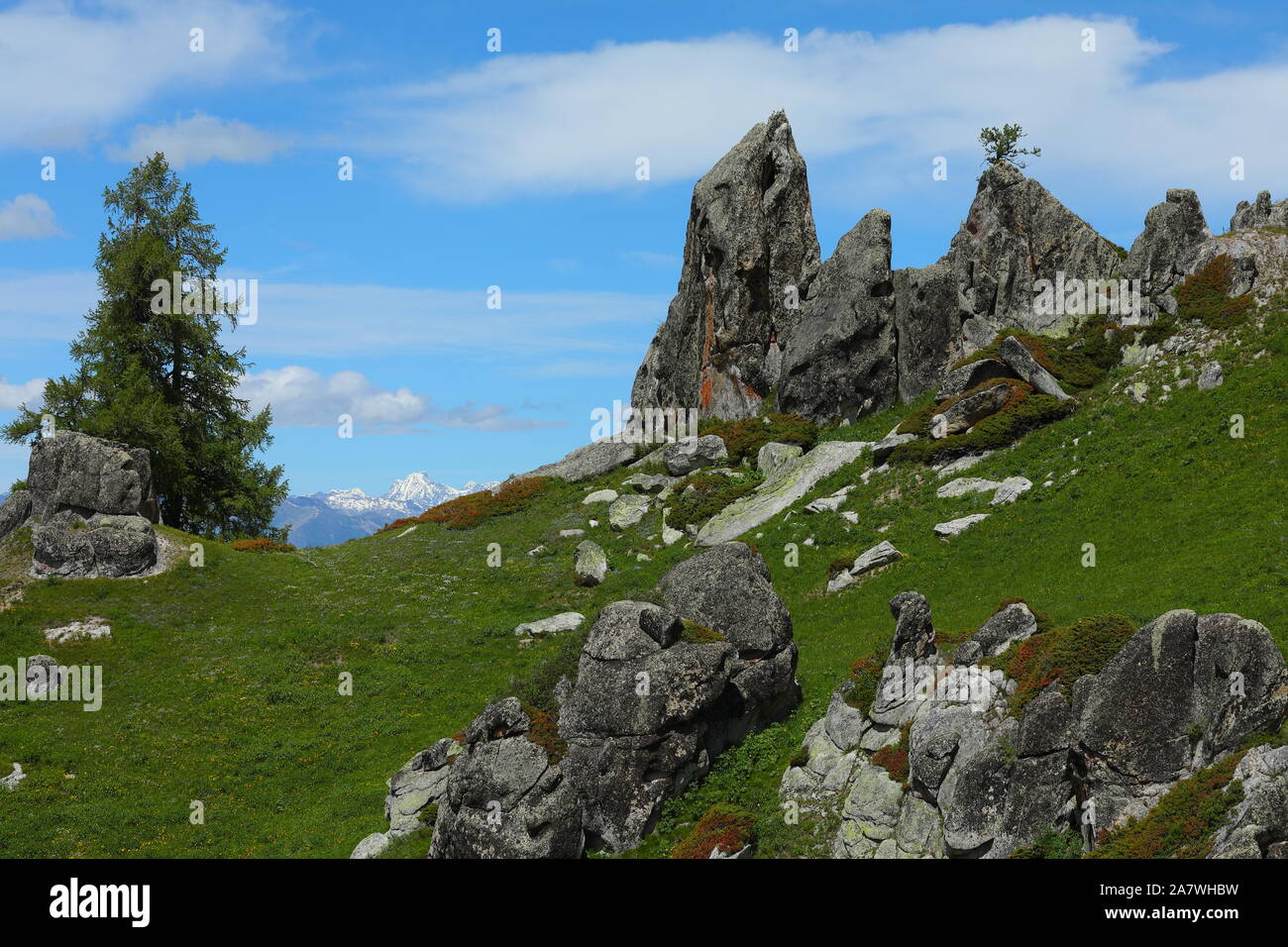 Burqin Stock Photos & Burqin Stock Images - Alamy