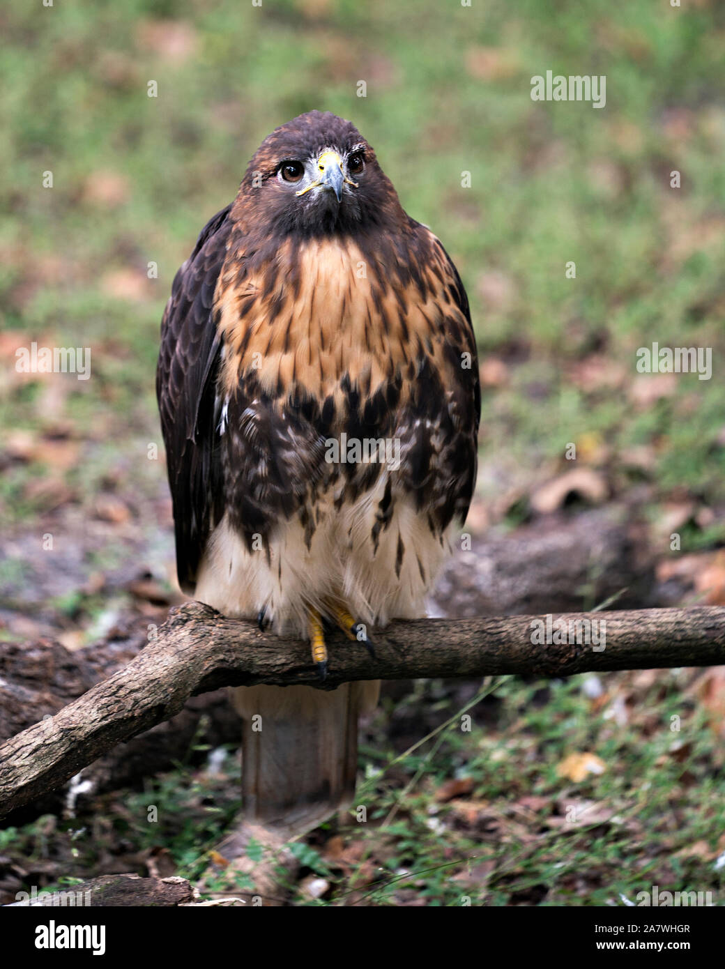 Nice environment hi-res stock photography and images - Alamy