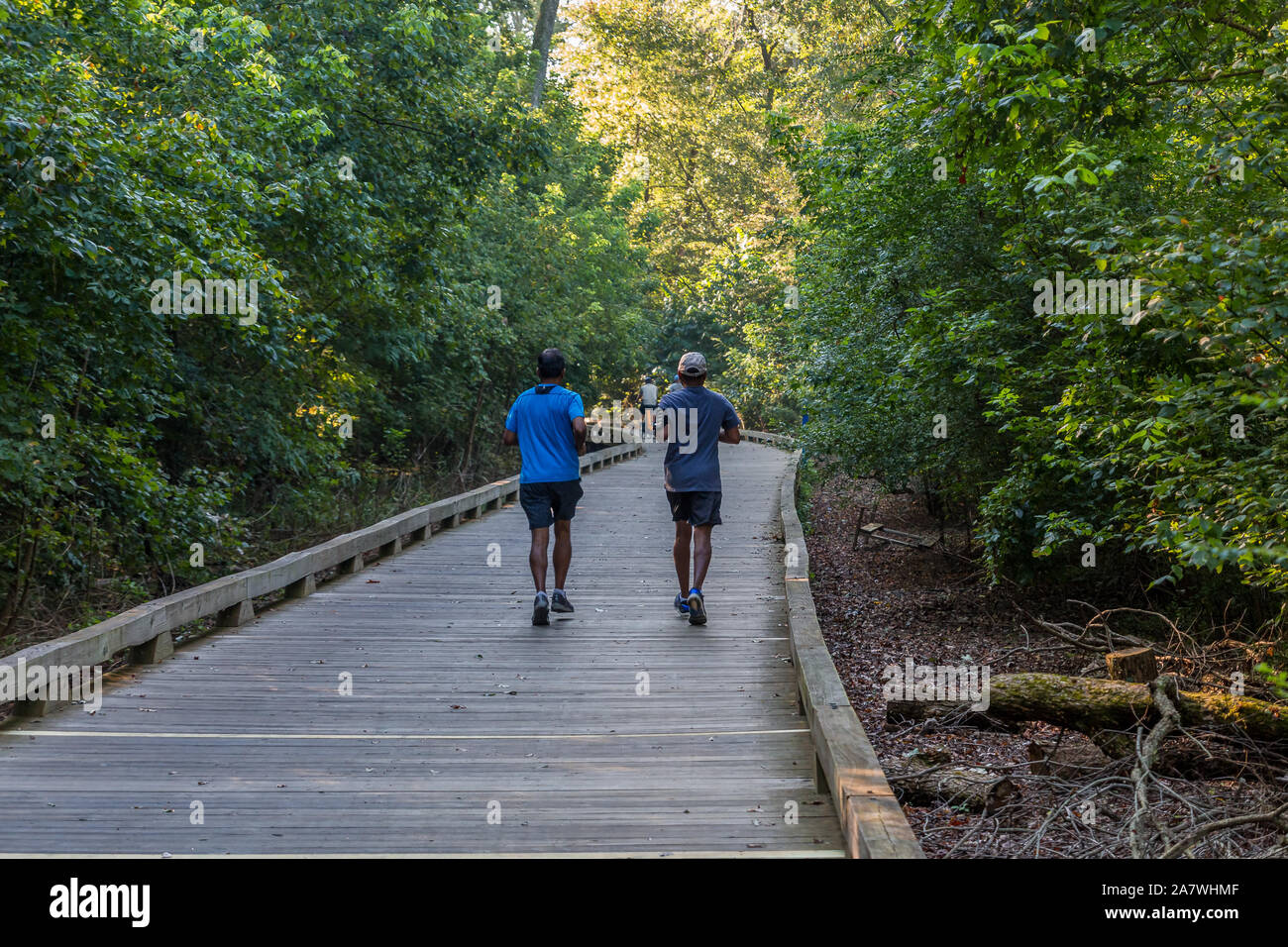 Two Men Jogging on Fitness Trail Stock Photo - Alamy