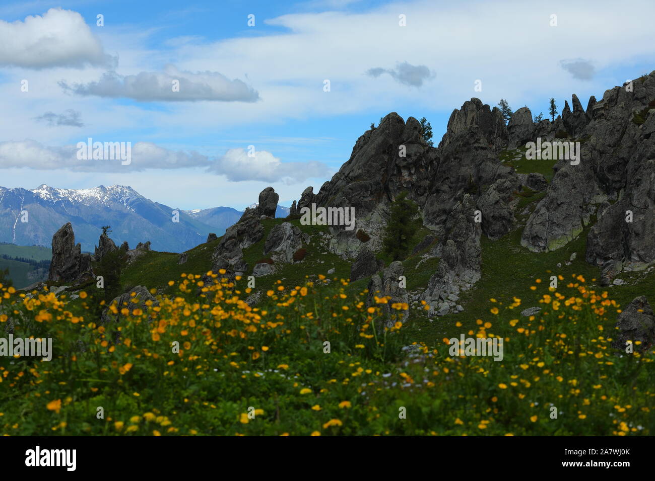 Burqin Stock Photos & Burqin Stock Images - Alamy