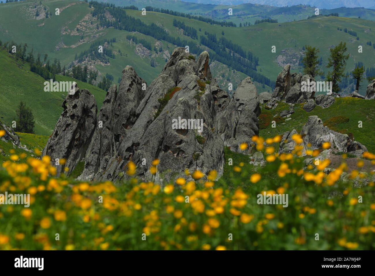 Burqin hi-res stock photography and images - Alamy