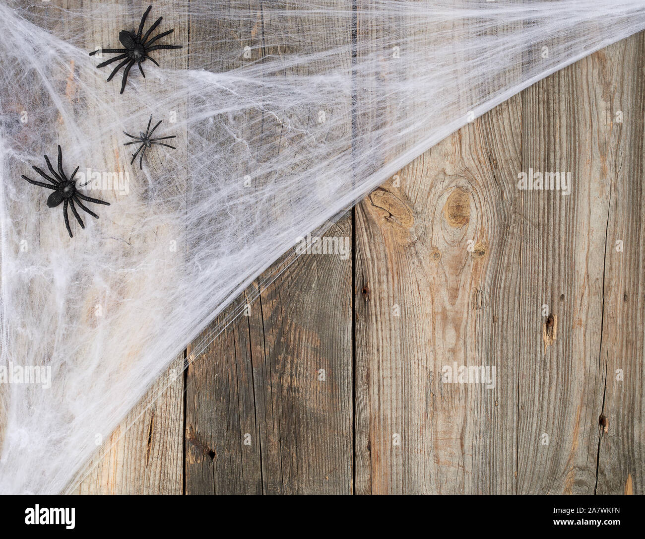 white spider web with black spiders on a gray wooden background from ...