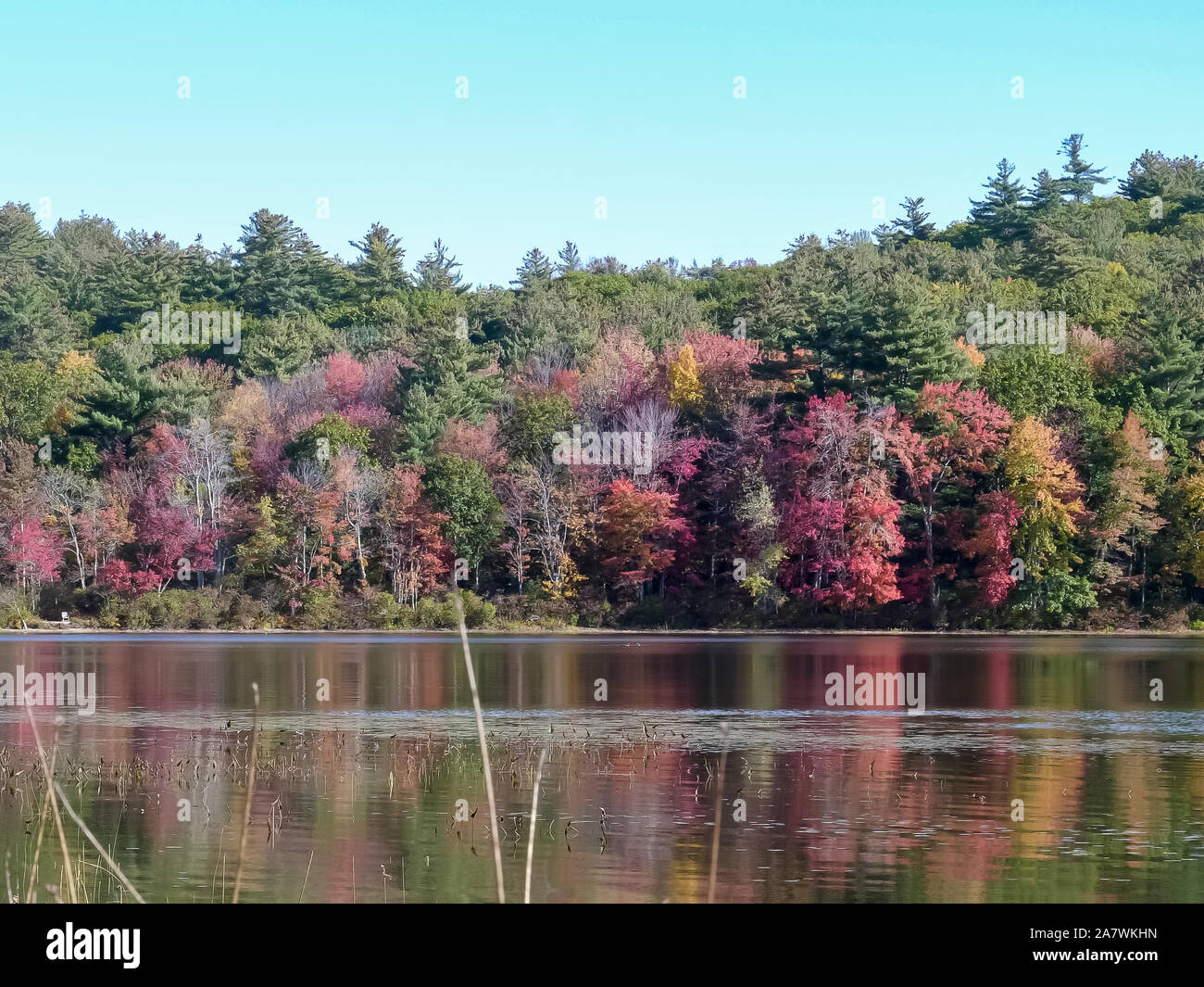 New hampshire autumn color hi-res stock photography and images - Alamy