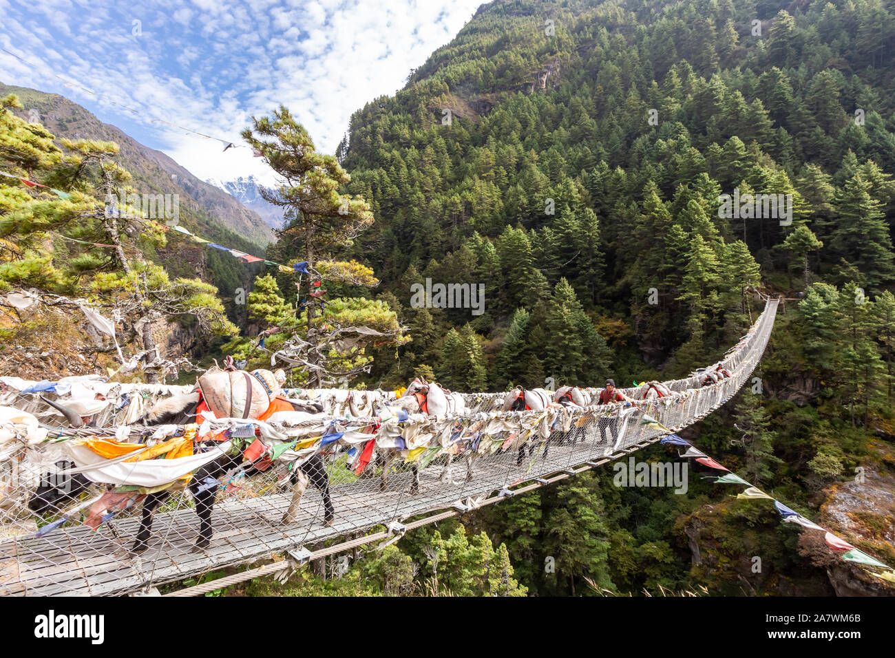 Himalaya Mountain Bridge Wallpaper Indian Himalayan Mountains Manary