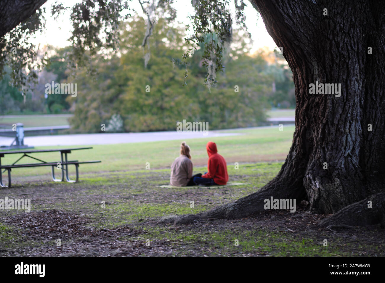 Couple Sitting Beneath Oak Tree Limb After a Picnic Stock Photo - Alamy