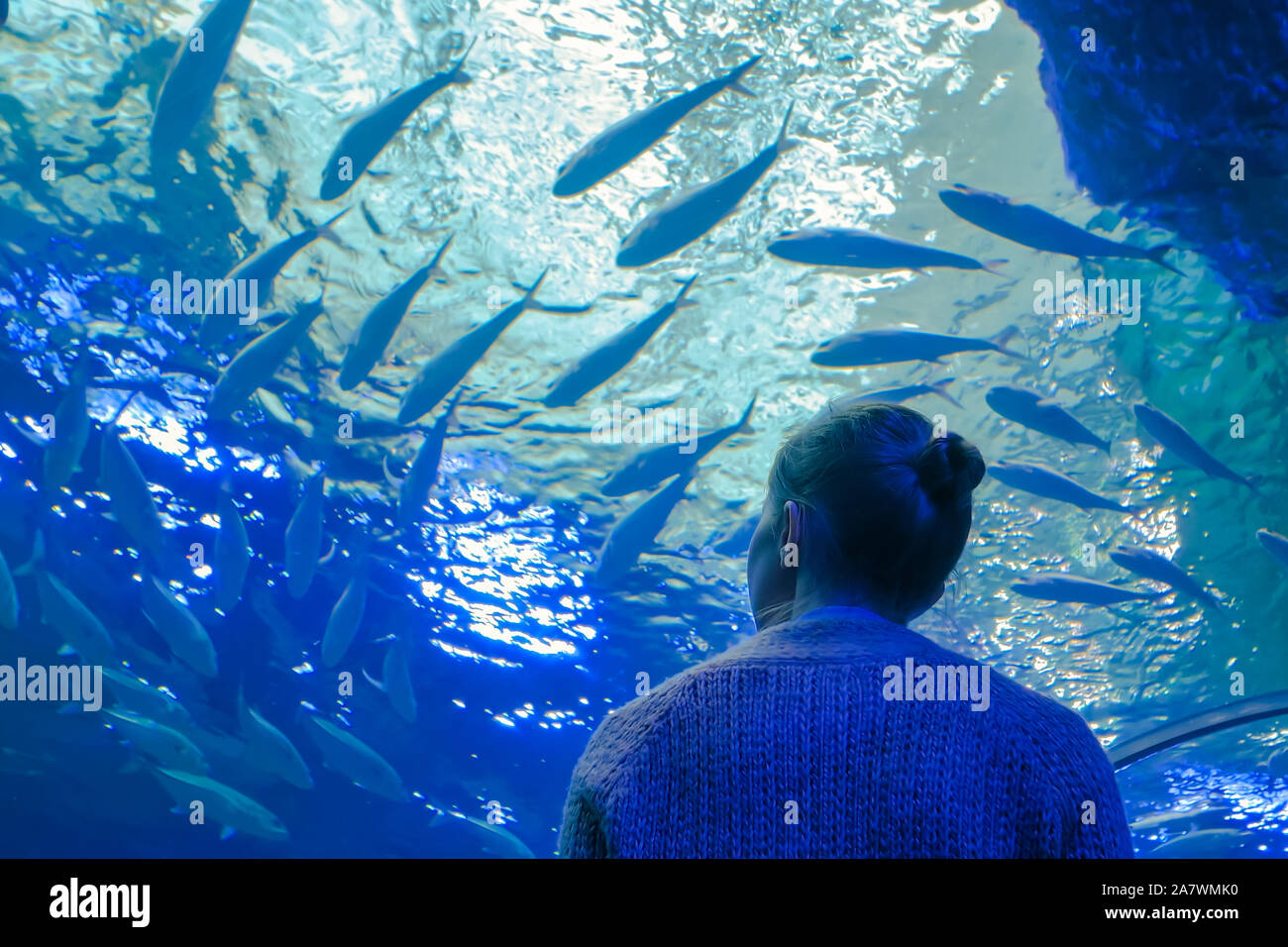 Woman looking at fish vortex in large public aquarium tank at ...