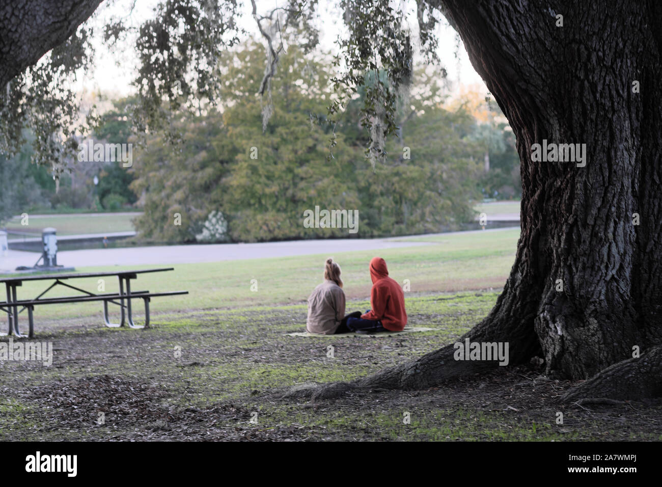 Couple Sitting Beneath Oak Tree Limb After a Picnic Stock Photo - Alamy