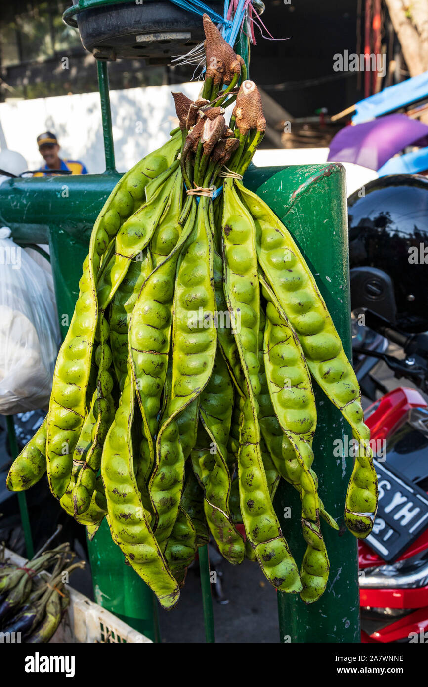 Java beans hi-res stock photography and images - Alamy