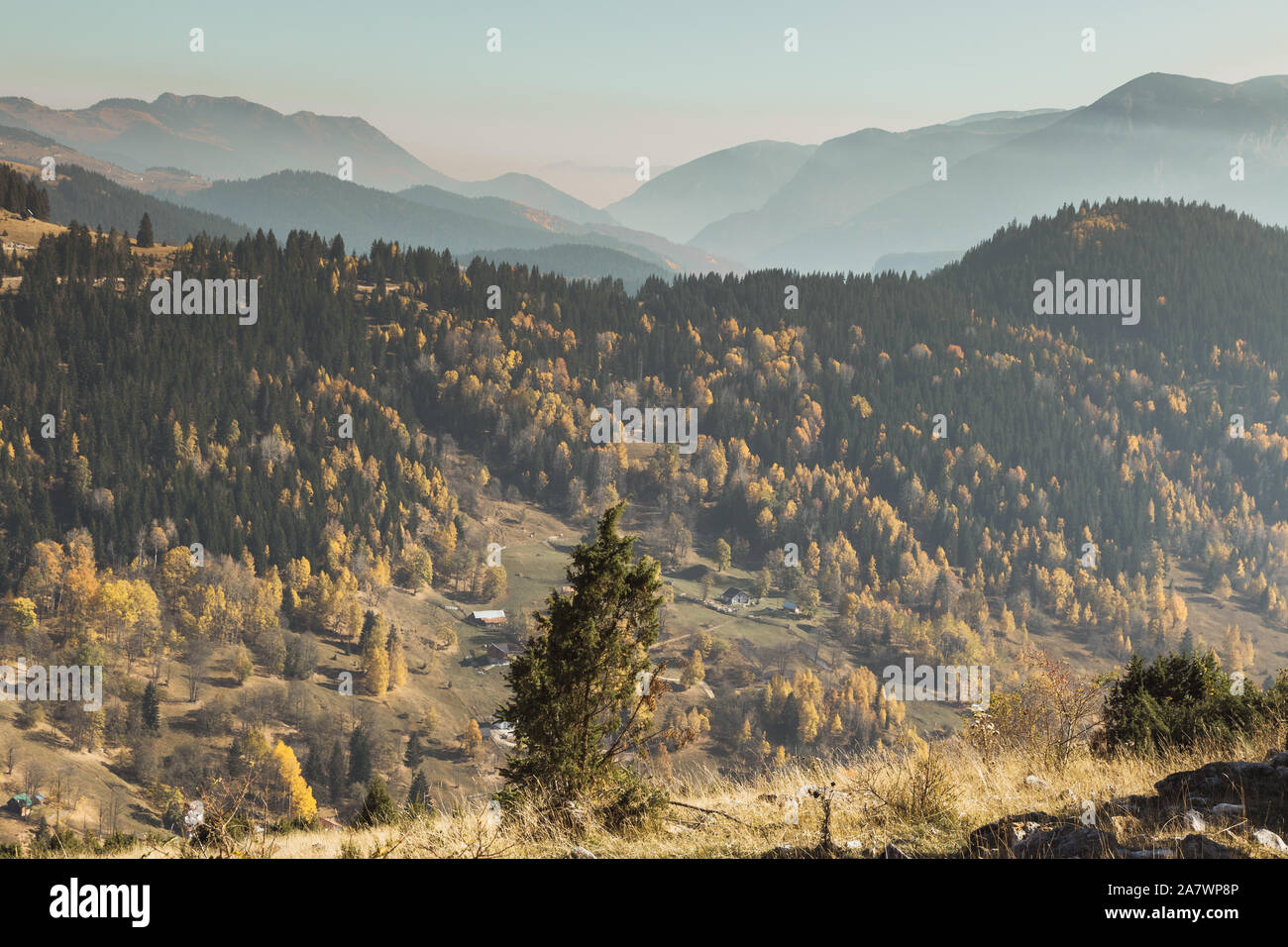 Mountain of Boge, Rogove surrounded by colorful forest in the autumn ...