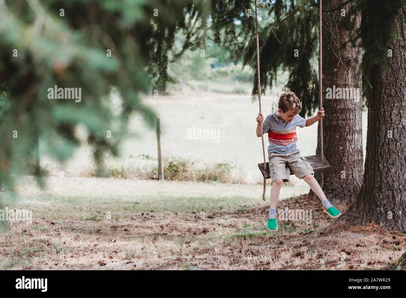 Boy sitting under tree in hi-res stock photography and images - Alamy