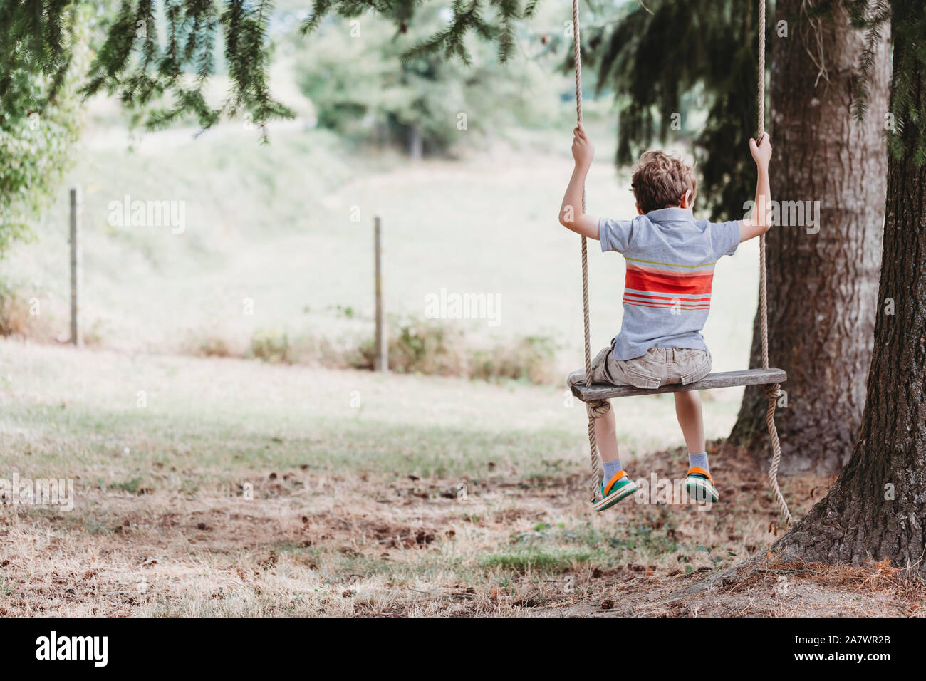 Rear view of boy sitting on swing under pine trees Stock Photo - Alamy