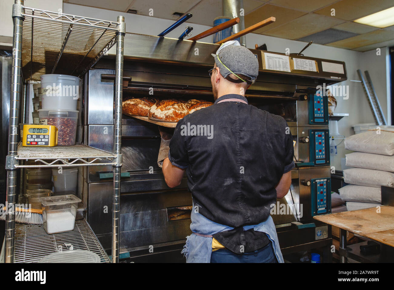rear view of a baker removing loaves of bread from commercial oven ...