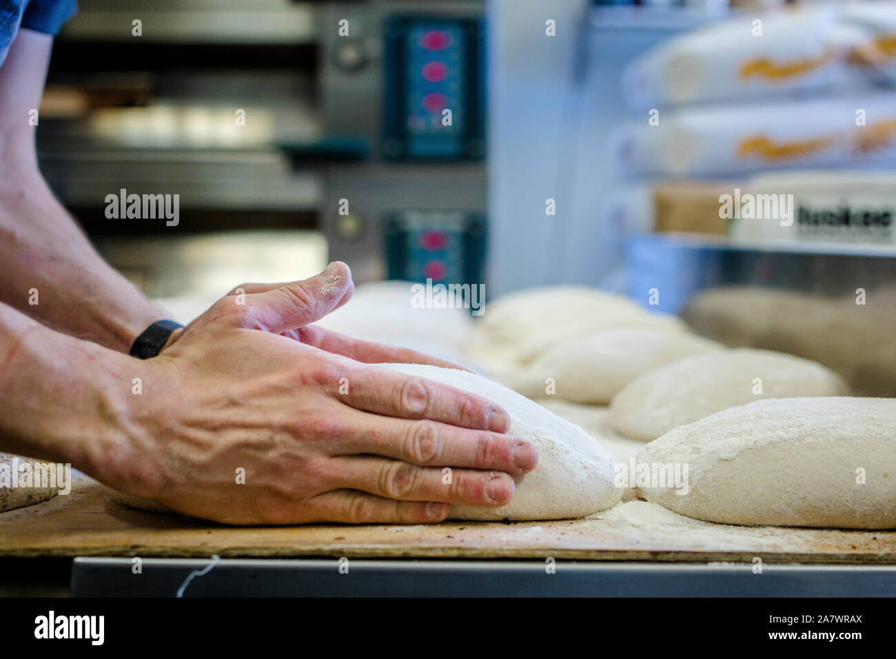 A professional baker shapes bread loaves in a commercial kitchen Stock ...