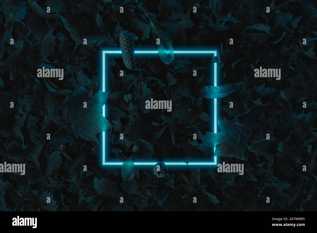 Fluorescent light blue neon square hi-res stock photography and images ...