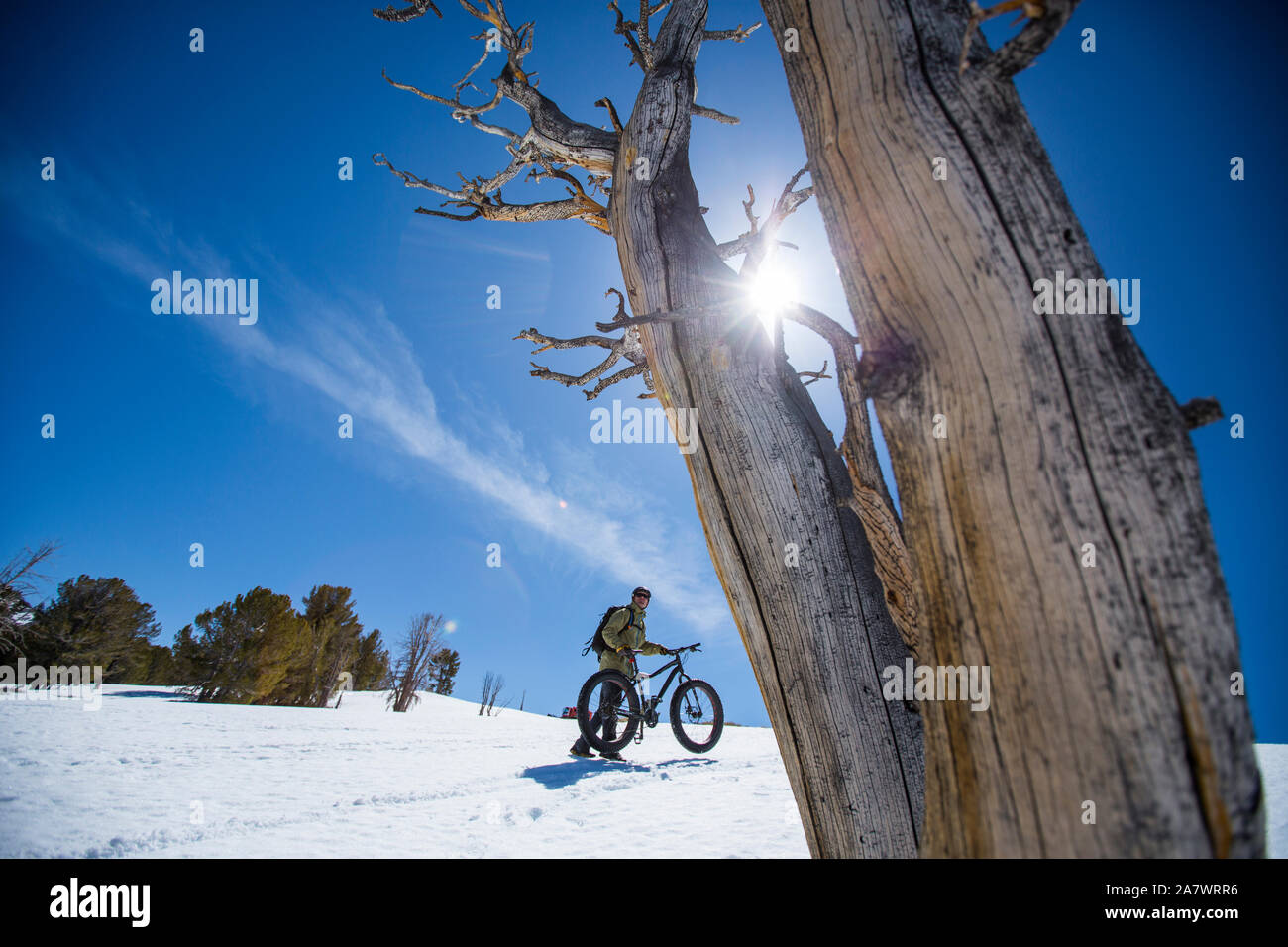 Fat Tire Biking Snow Stock Photo - Alamy