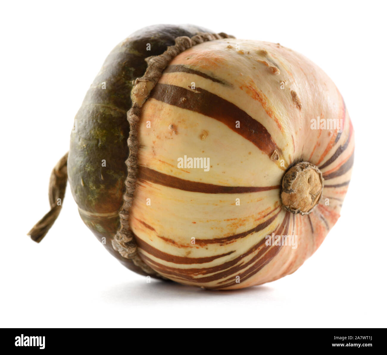 Unusual harvest Cut Out Stock Images & Pictures - Alamy
