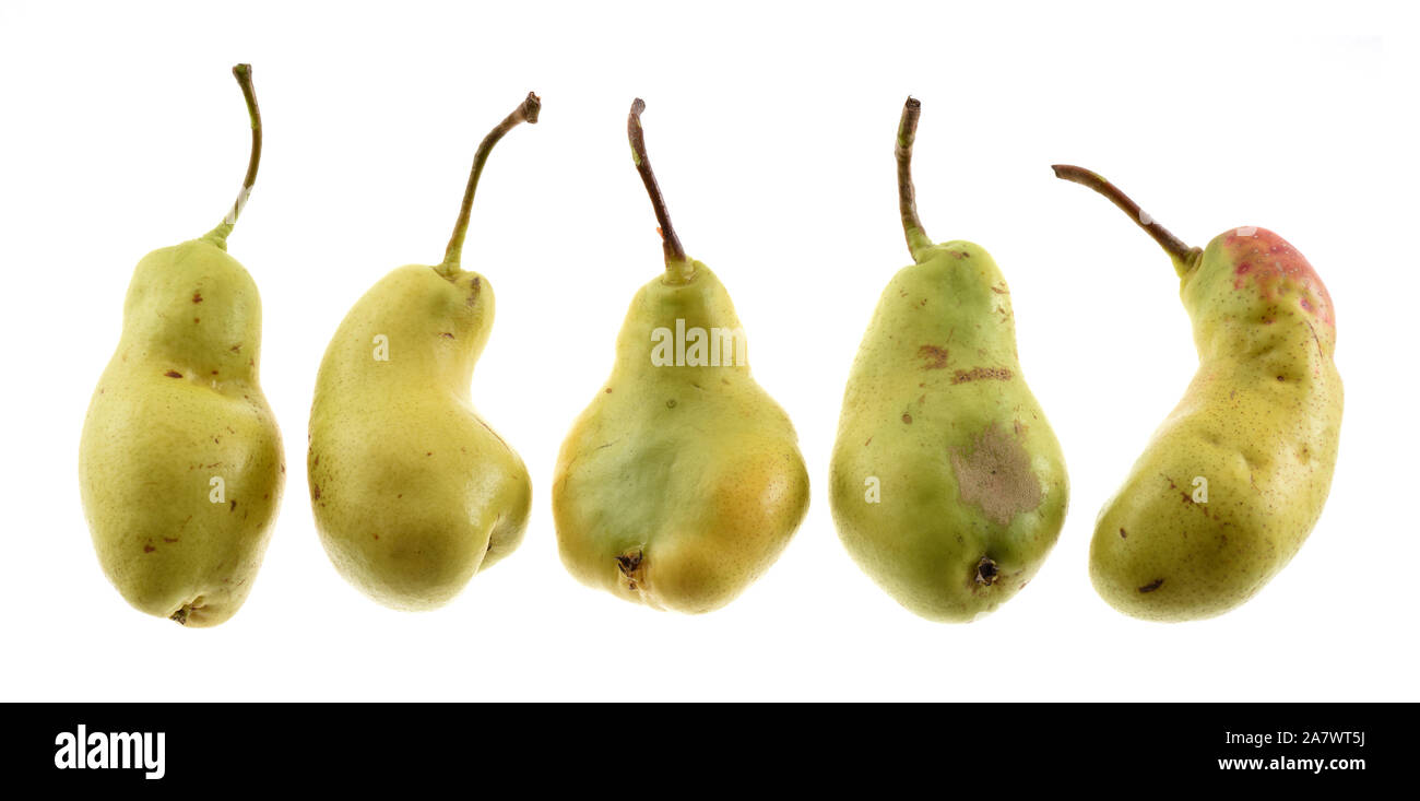 Deformed fruit hi-res stock photography and images - Alamy