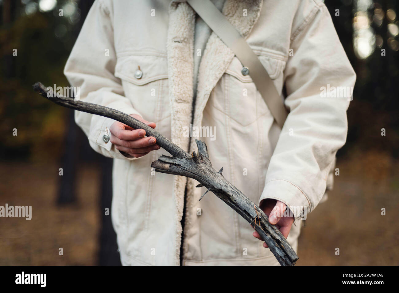 Human hand holding tree branch hi-res stock photography and images - Alamy