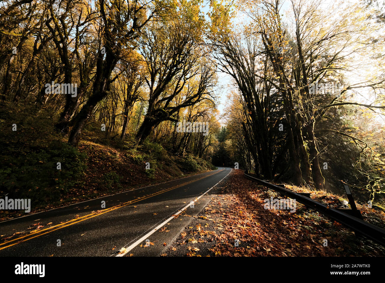 Two lanes hi-res stock photography and images - Alamy