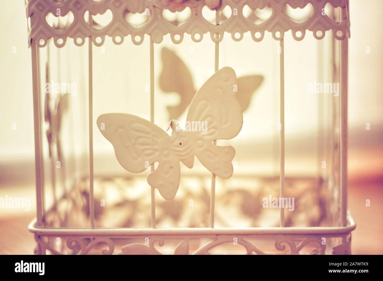 Butterfly Cage High Resolution Stock Photography and Images - Alamy