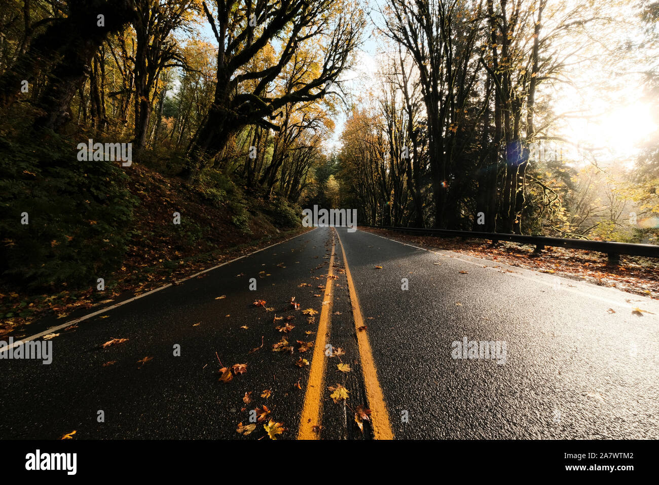 The road to Artist Point in the Mount Baker Wilderness in the fall ...
