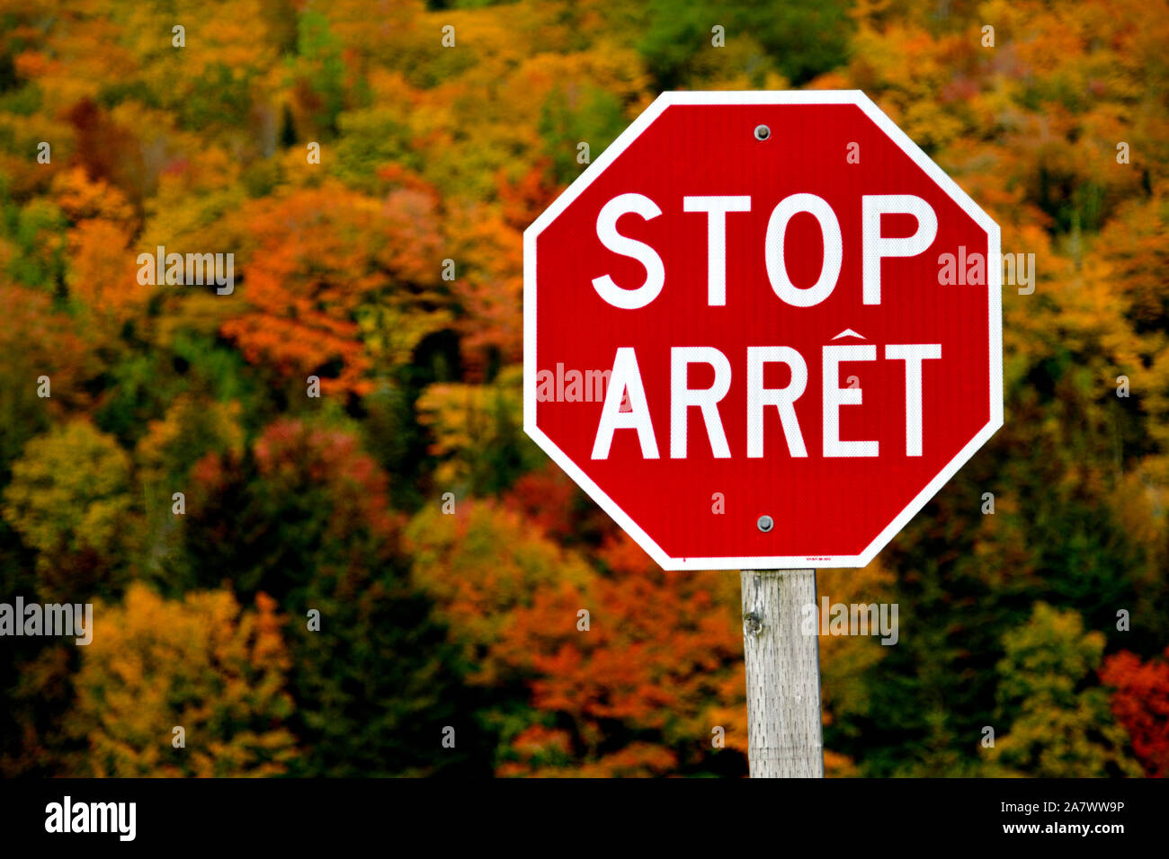 Arret stop sign hi-res stock photography and images - Alamy