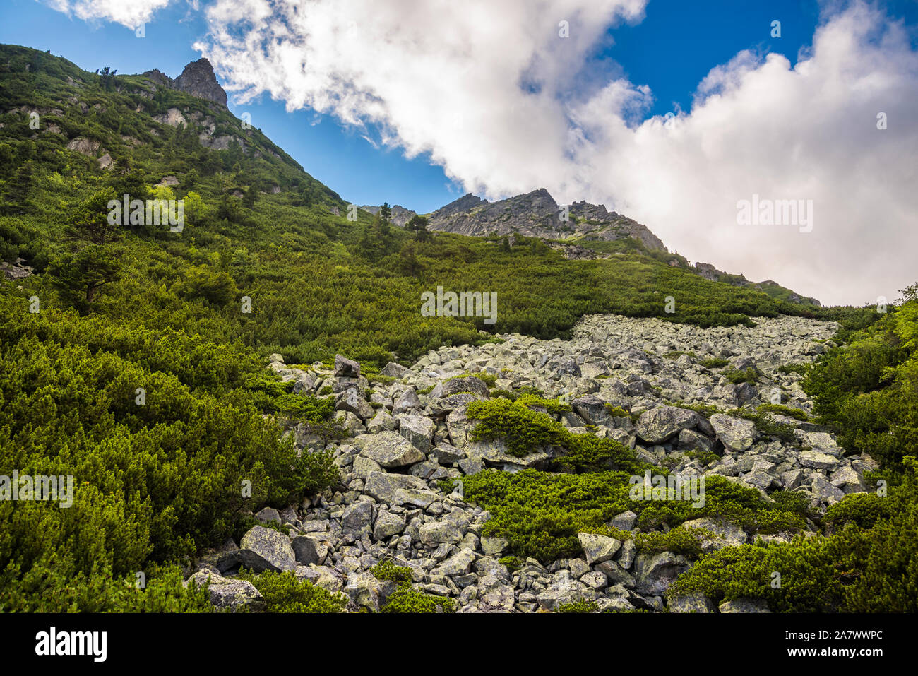 Beautiful landscape mengusovska dolina hi-res stock photography and ...