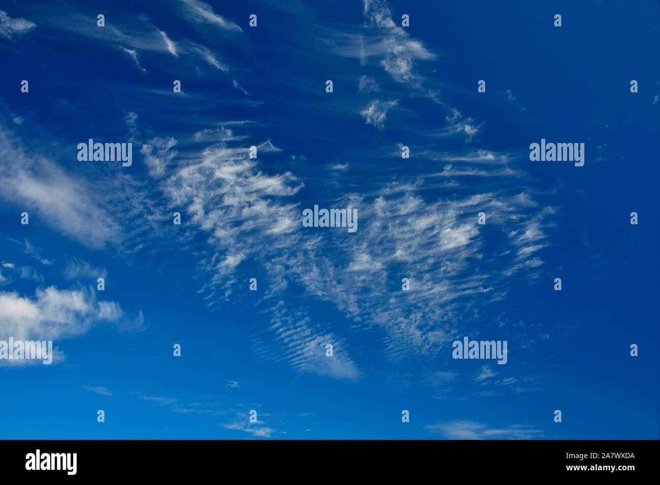 A deep blue sky with white Cirrus Fibratus, clouds floating by in rural ...