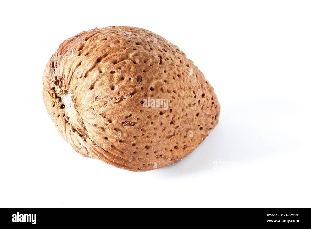 Whole almond nut in shell isolated on white background. Closeup photo ...