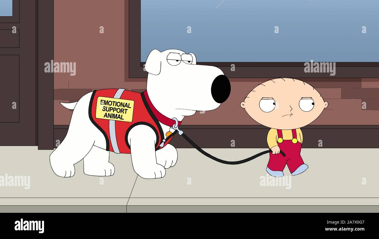 FAMILY GUY, Brian Griffin, Stewie Griffin (voices: Seth MacFarlane) in ...