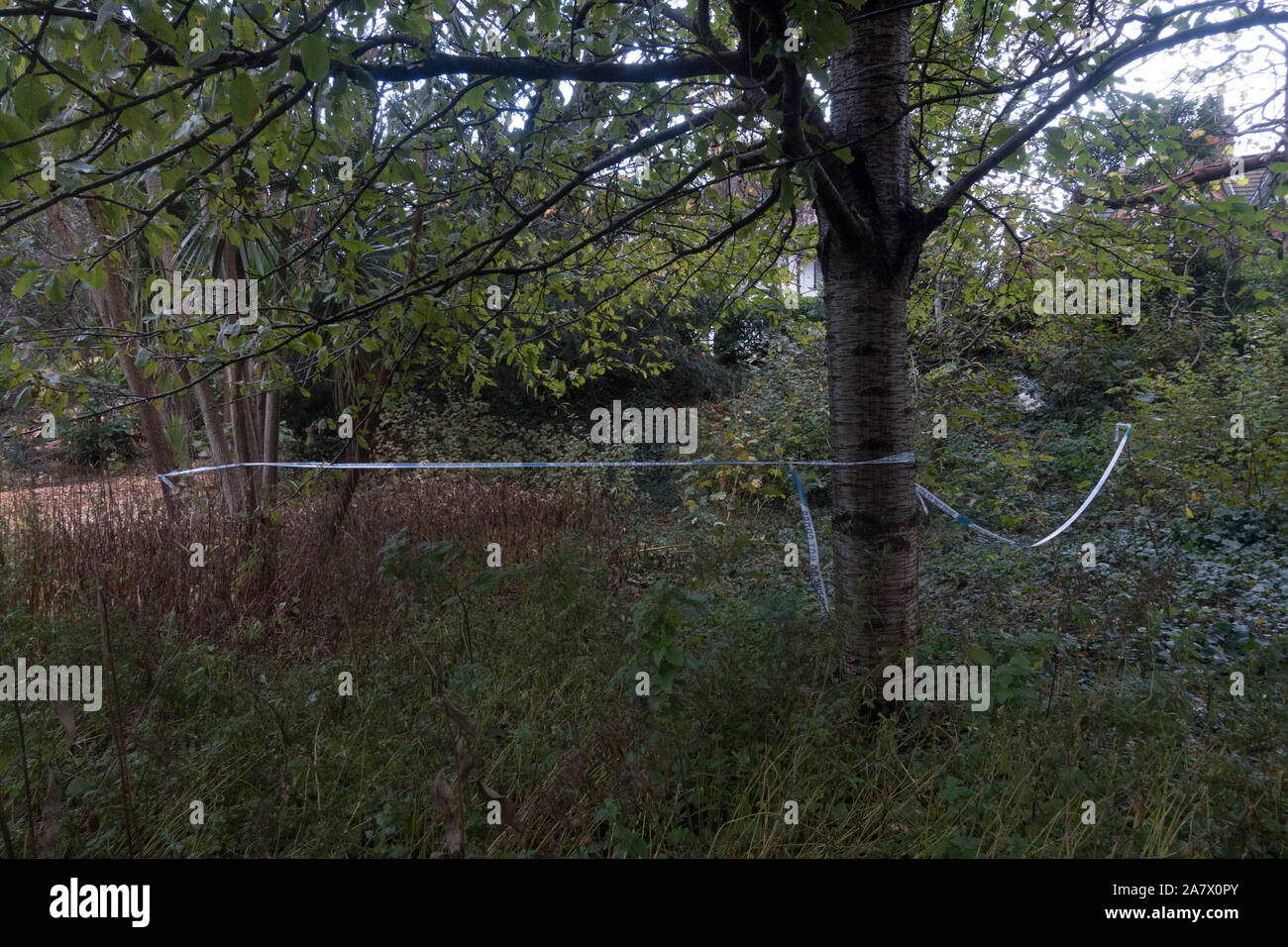 Crime scene forensics field hi-res stock photography and images - Alamy