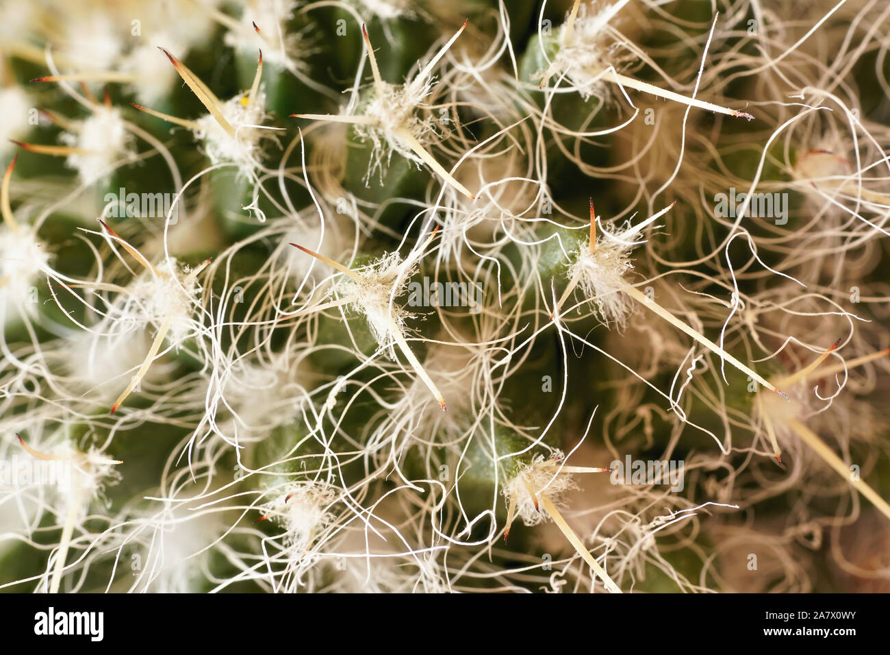 Radial threads hi-res stock photography and images - Alamy