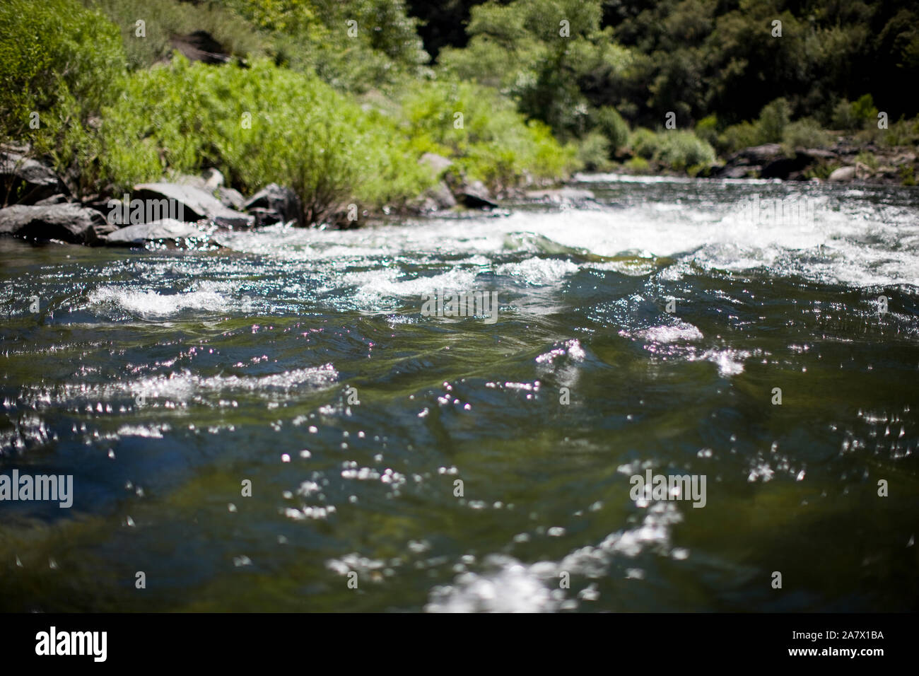 Rushing water of a river through rugged terrain Stock Photo - Alamy