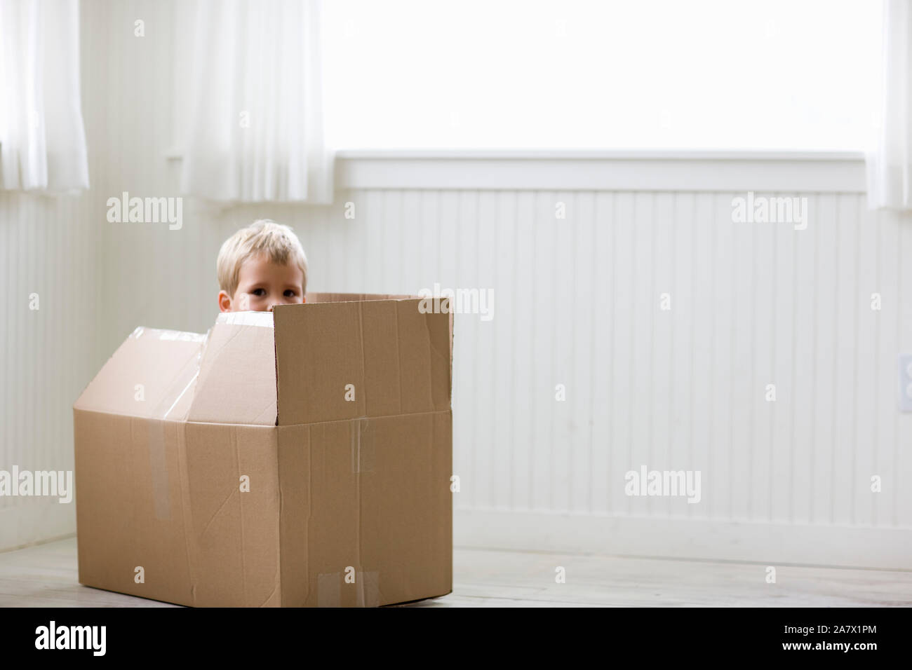 Photographs in a box hi-res stock photography and images - Alamy