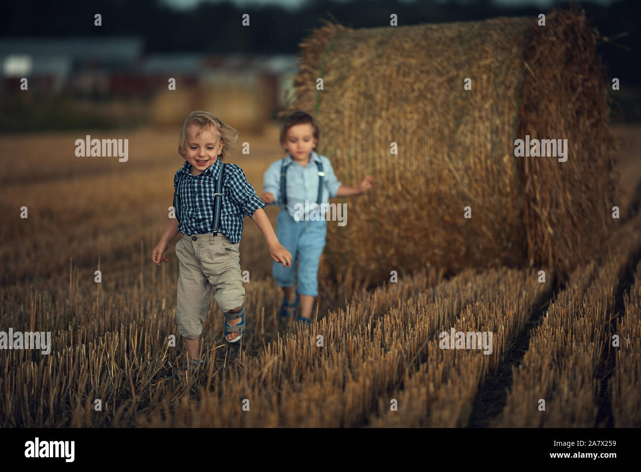 Portrait of two little brothers running on the farmland Stock Photo - Alamy