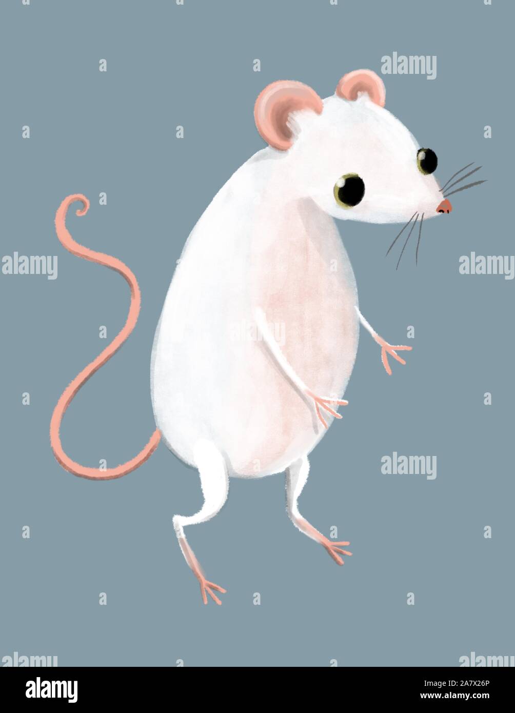A cute little white mouse Stock Photo - Alamy