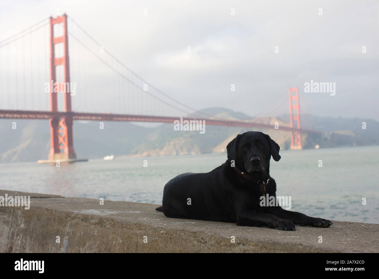 Large suspension hi-res stock photography and images - Alamy