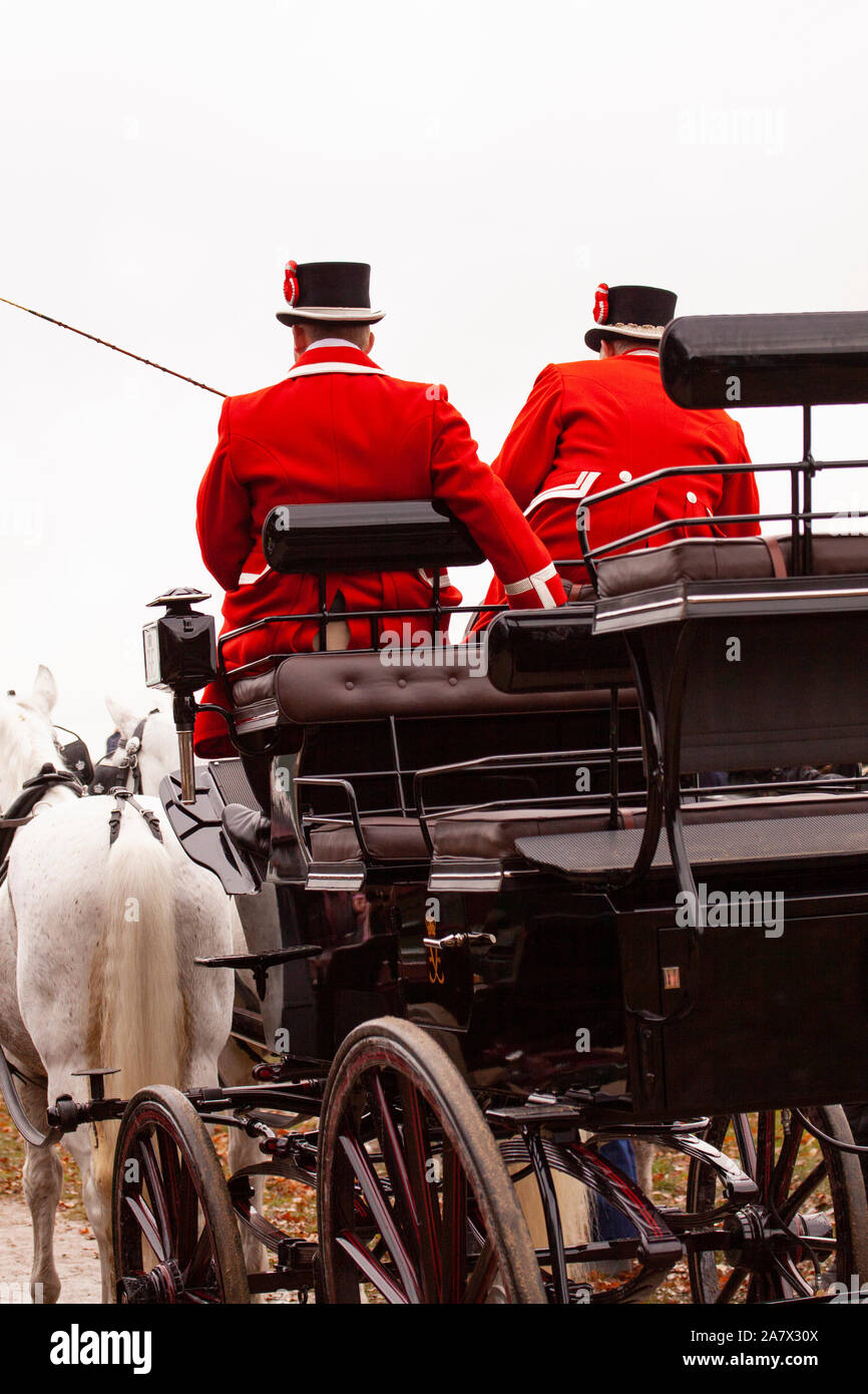 Two white horses with Landau carriage driven by two coachmen in red ...
